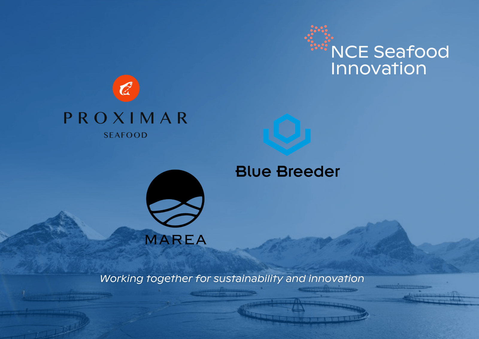Cluster Spotlight! — NCE Seafood Innovation