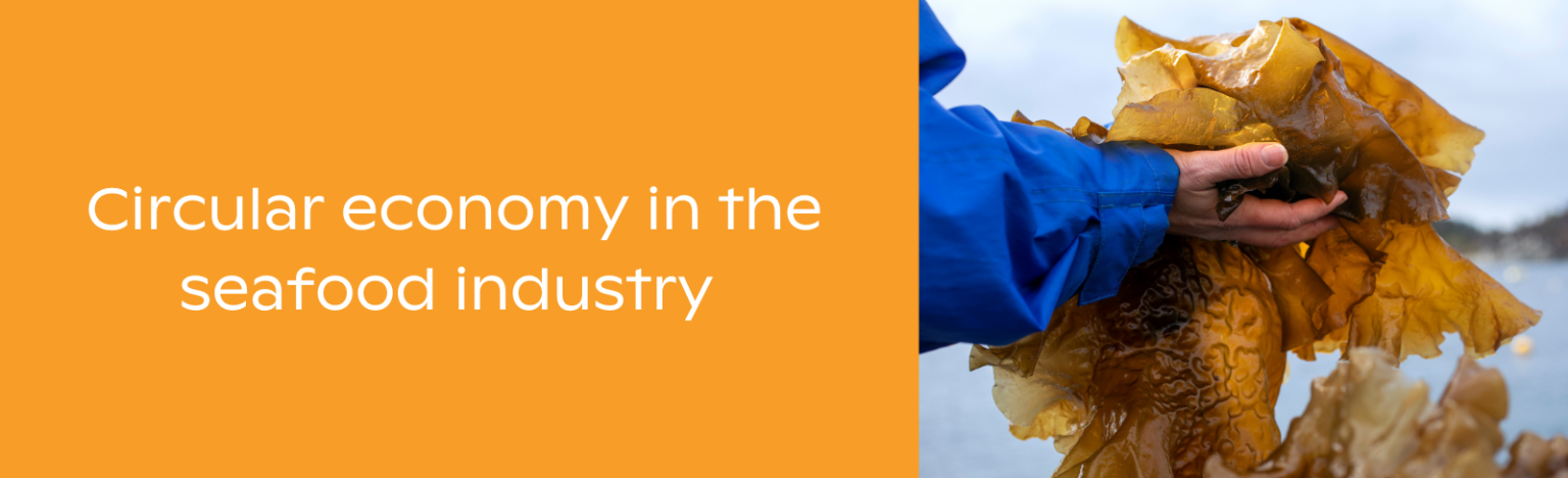 Seafood Circular — NCE Seafood Innovation