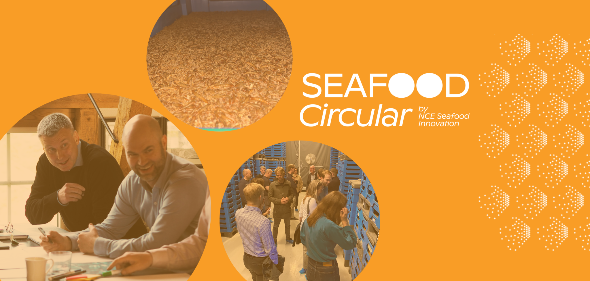 Seafood Circular: Module 4 — NCE Seafood Innovation