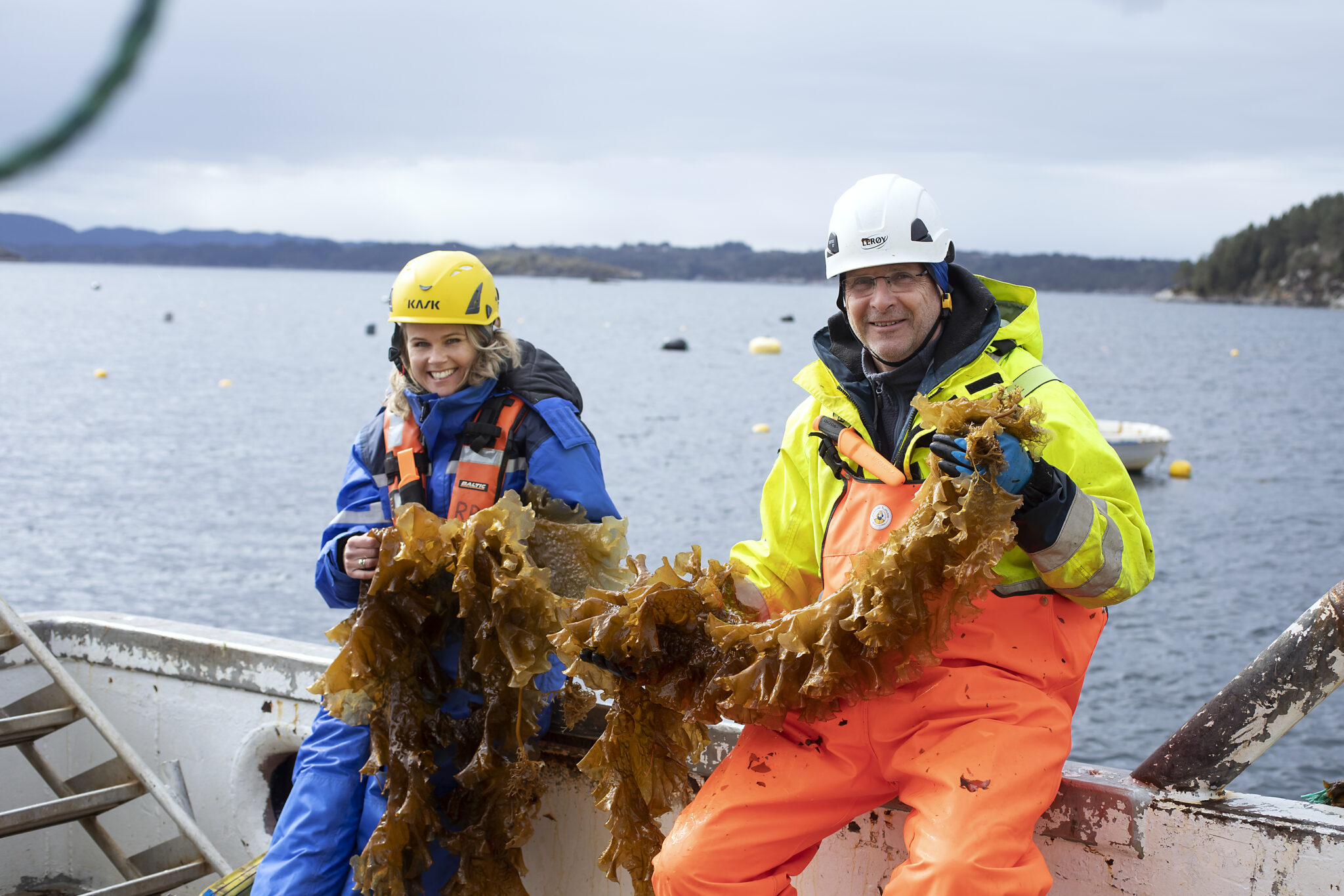 Skal teste blåskjell i kyllingfôr — NCE Seafood Innovation