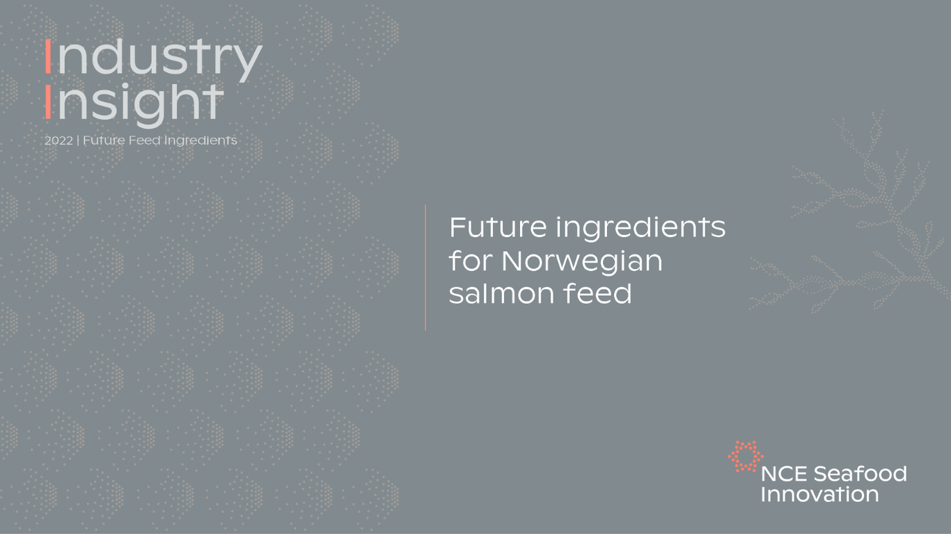 Industry insight — NCE Seafood Innovation