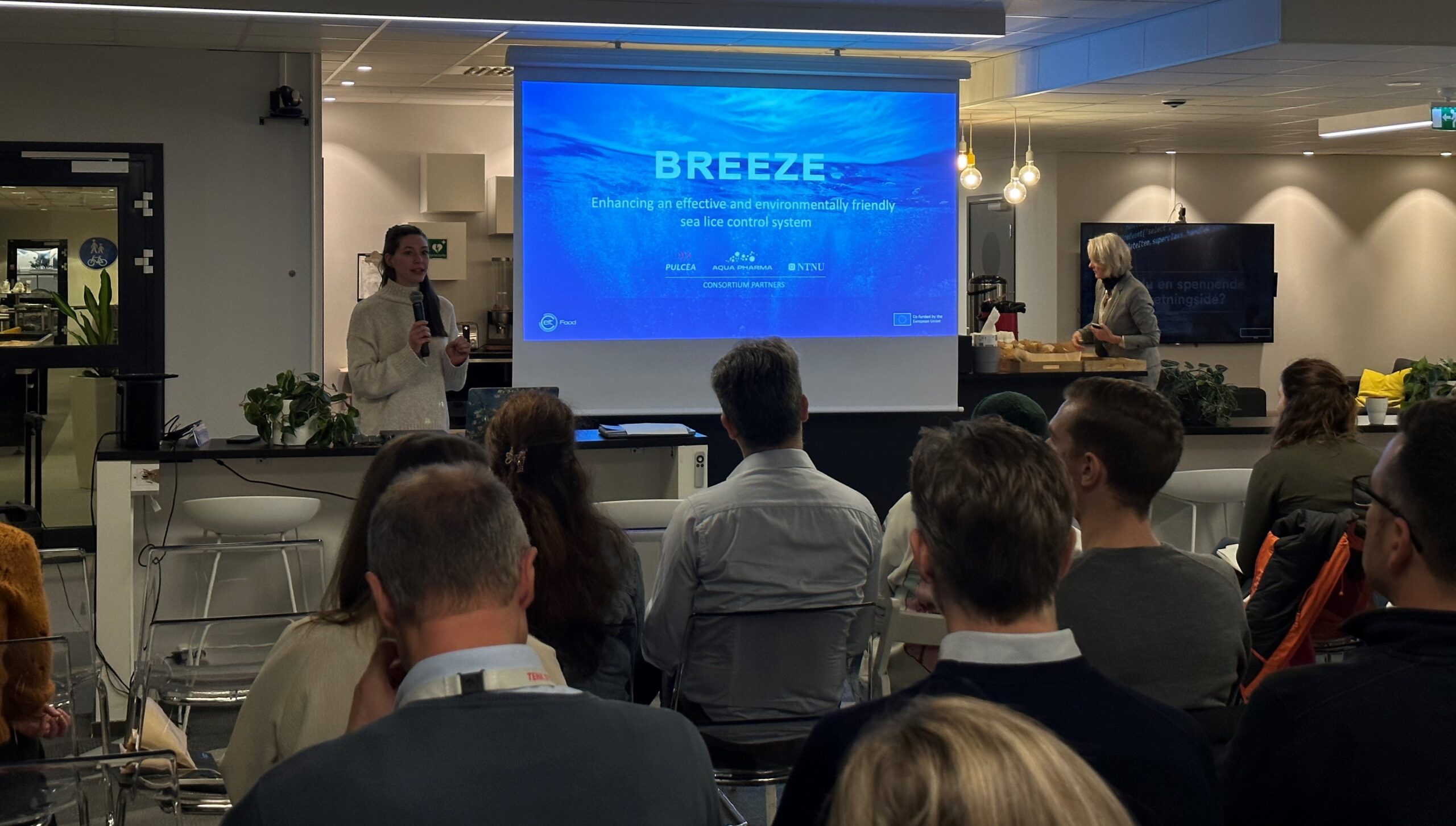 Future treatment of farmed fish — NCE Seafood Innovation