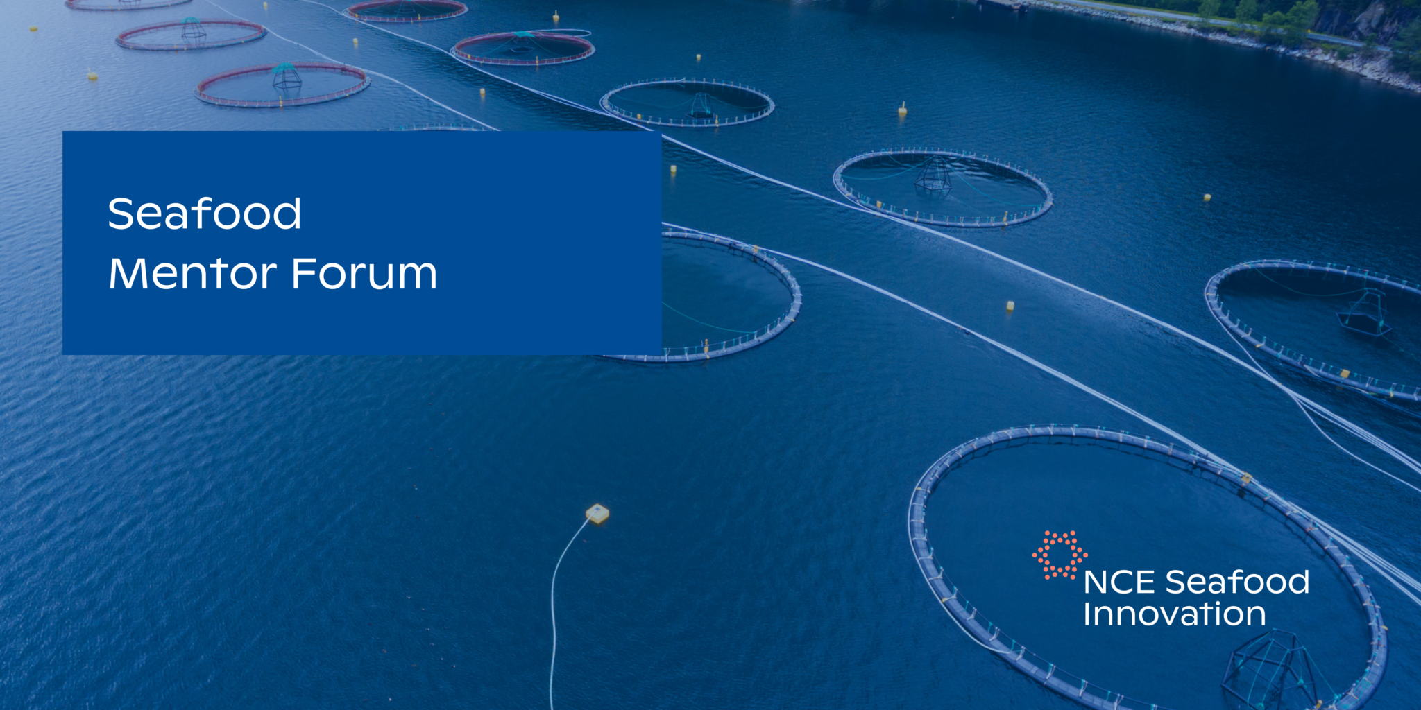 Seafood Mentor Forum — NCE Seafood Innovation